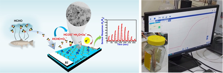 New non-invasive formaldehyde sensor can detect adulterated fish at ...